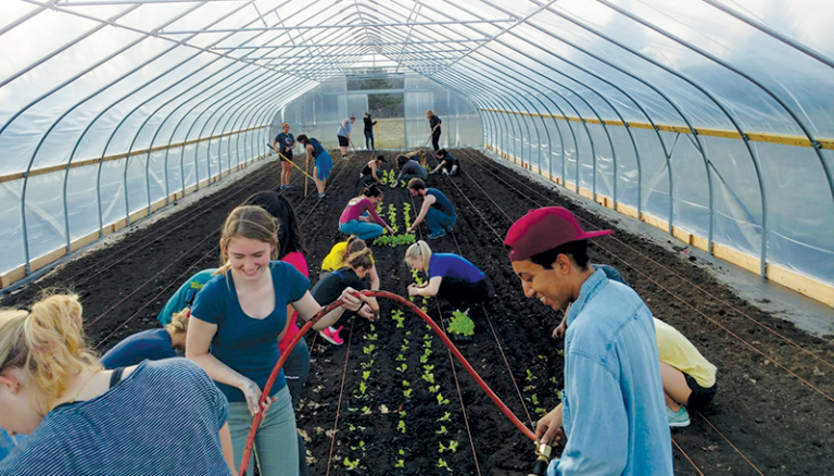 Your Campus-as-Lab Projects - University of Michigan - Office of Campus ...