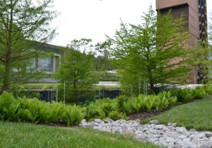 Sustainable Land Management - University of Michigan - Office of Campus ...