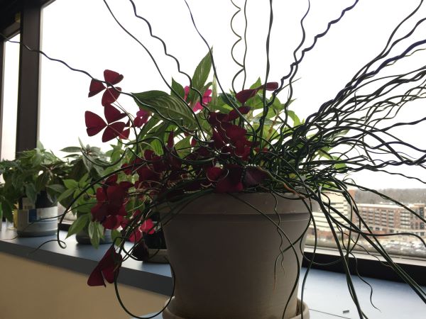 Janssen Lab - University of Michigan - Office of Campus Sustainability